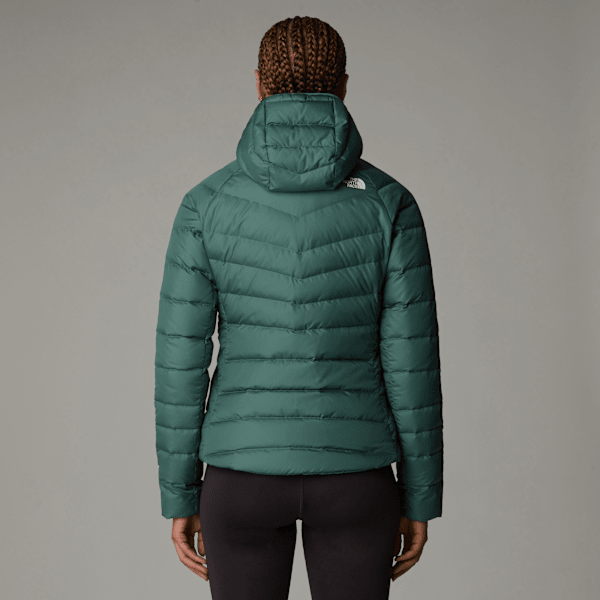 The north face hometown store