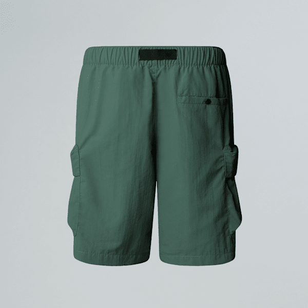 Cargo Pocket Shorts fur Herren The North Face DE
