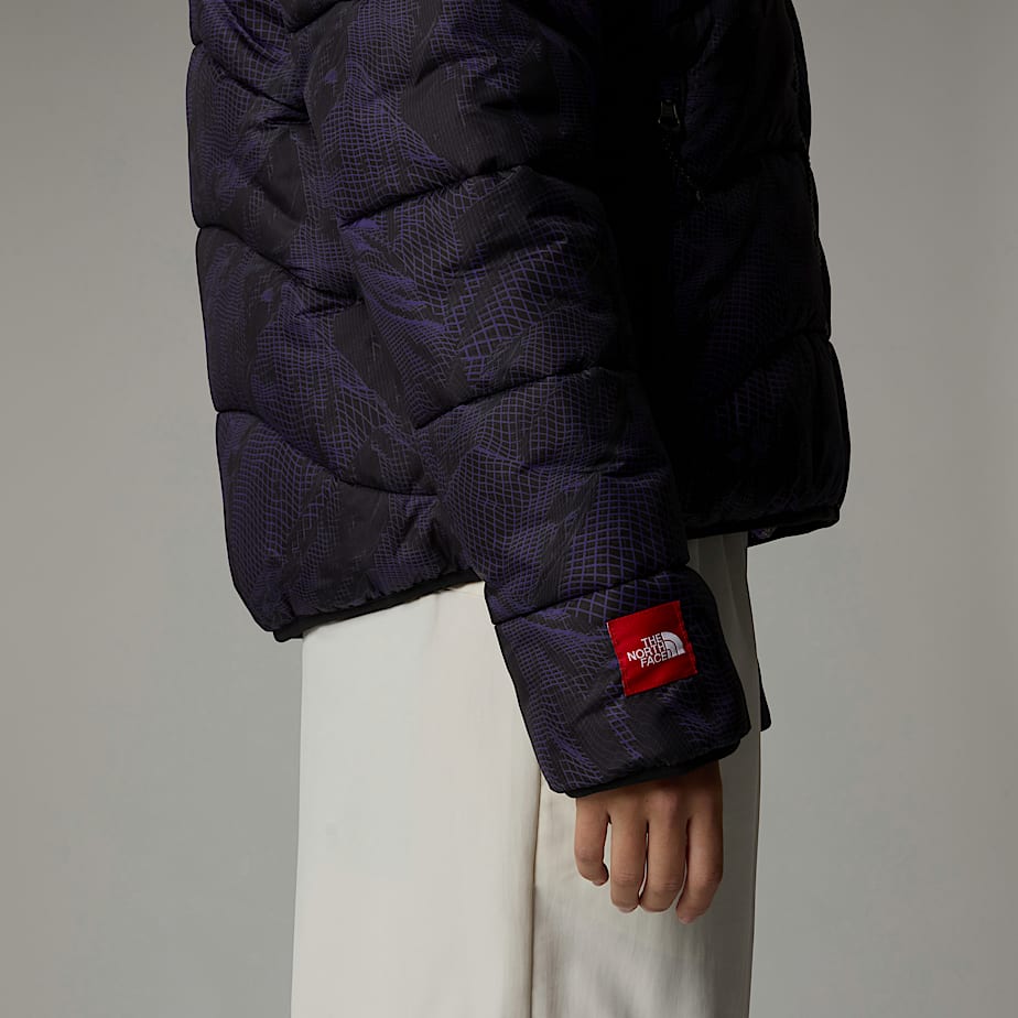 Women’s 2000 Synthetic Puffer Jacket | The North Face UK