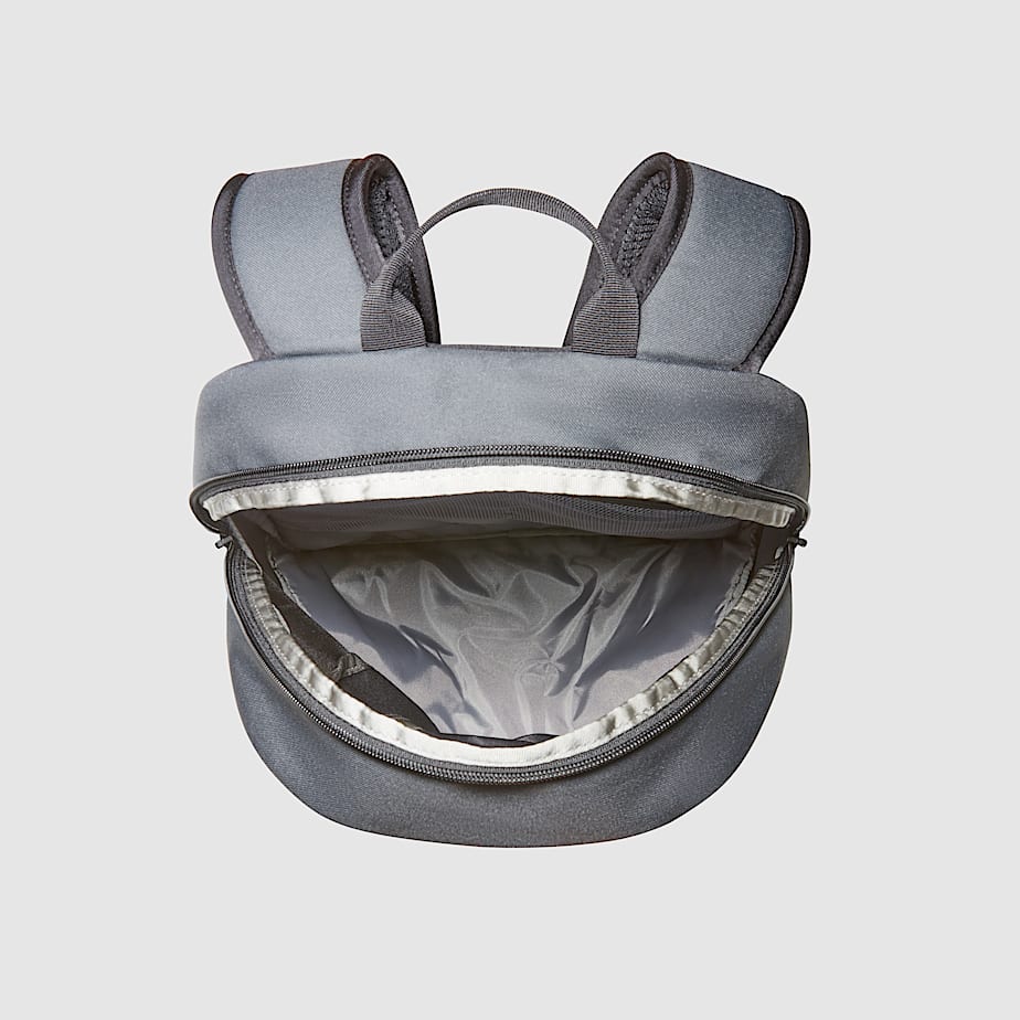 Y2K Backpack | The North Face FI