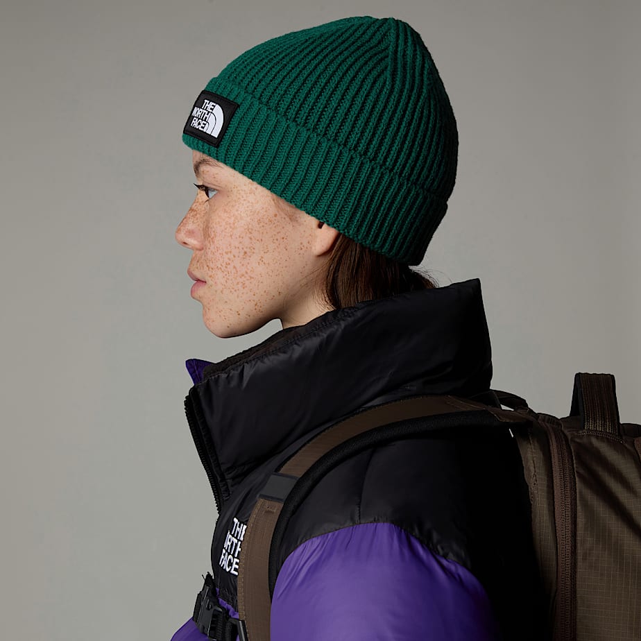 TNF Logo Box Cuffed Beanie | The North Face UK