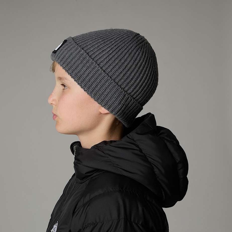 Kids' TNF Box Logo Cuffed Beanie | The North Face UK