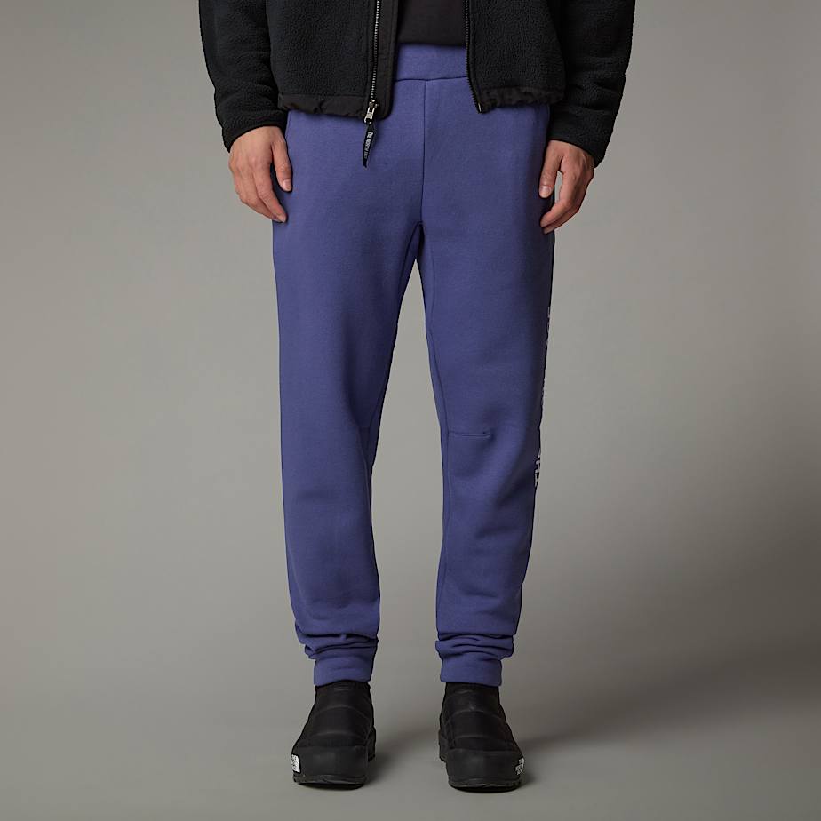 The north face men's train n logo cuffed pant store