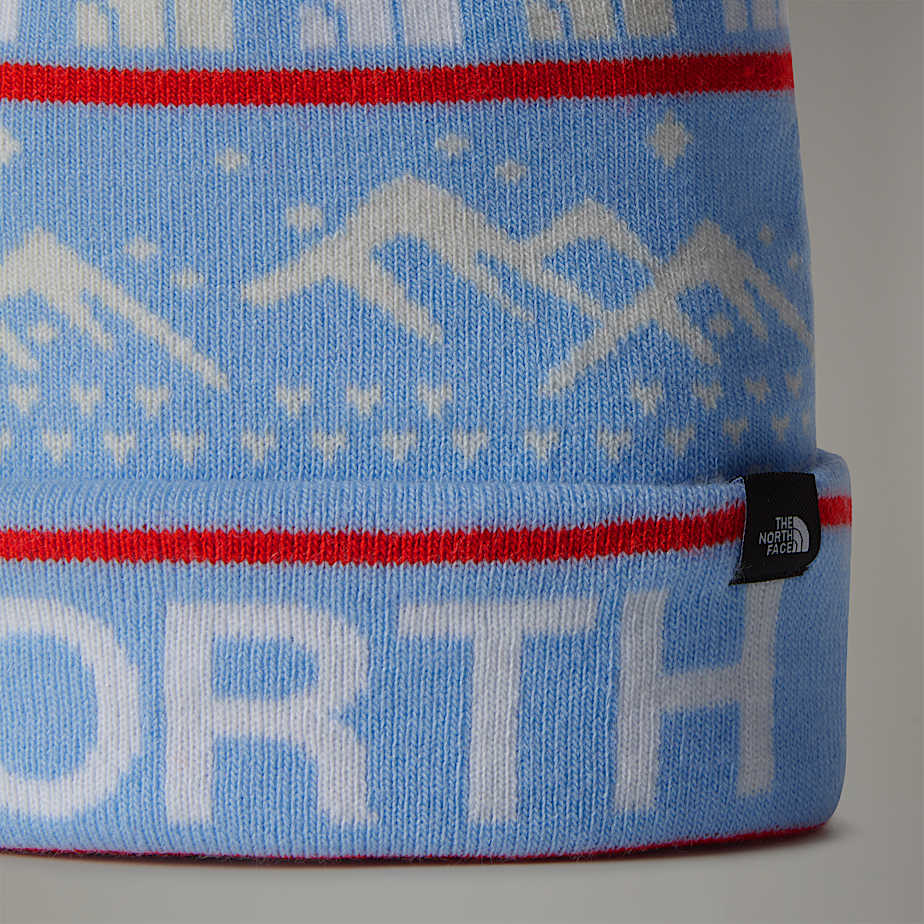 Ski Tuke Beanie | The North Face UK